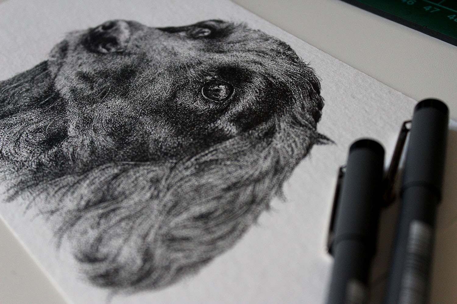 Pet Portrait - Molly