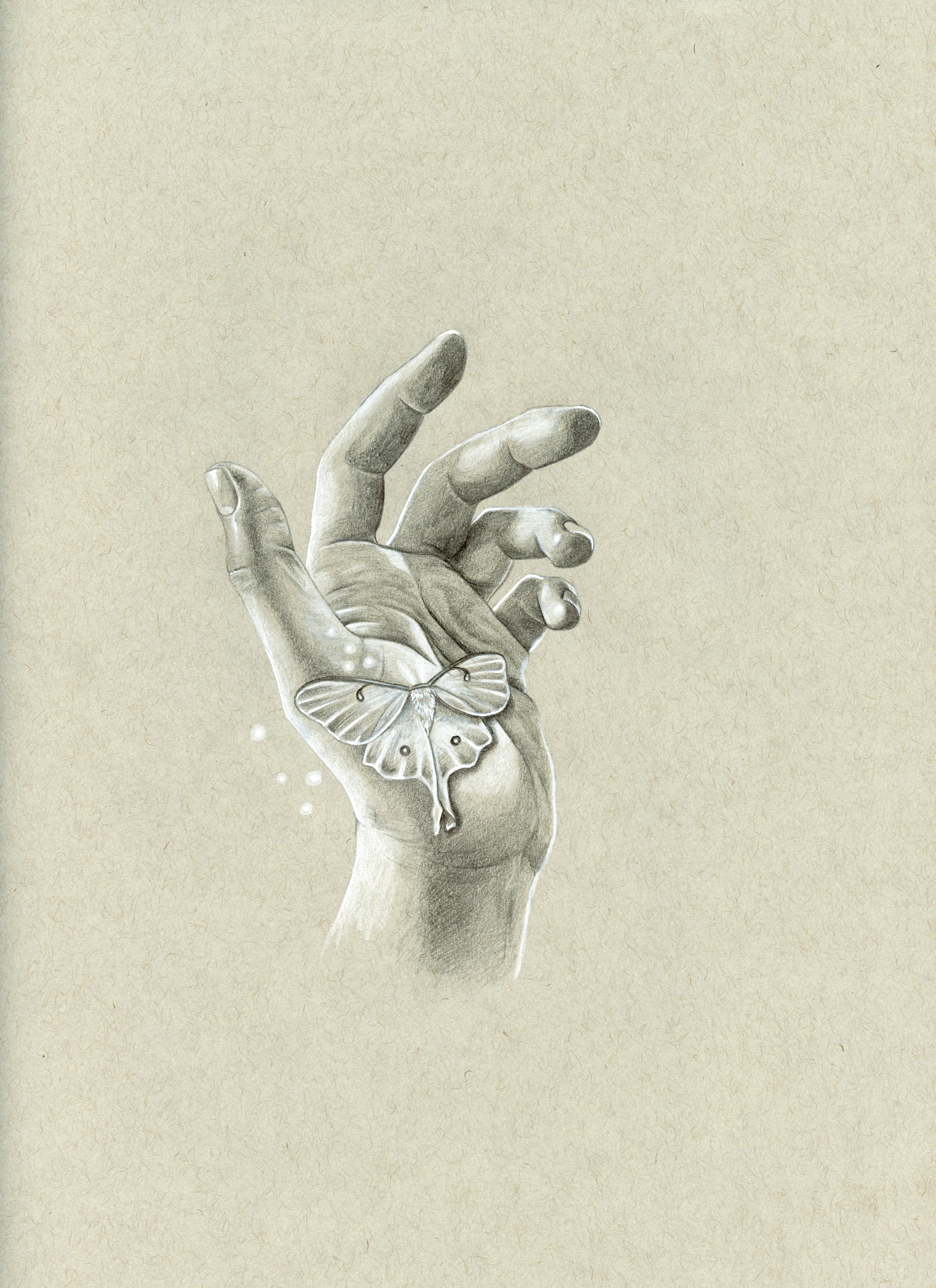 Hand Study III
